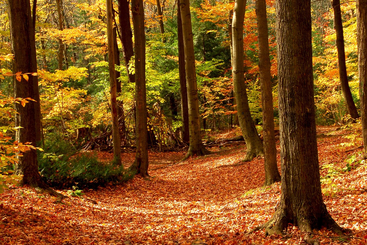 Activities & Attractions - Deerhurst Resort - Muskoka